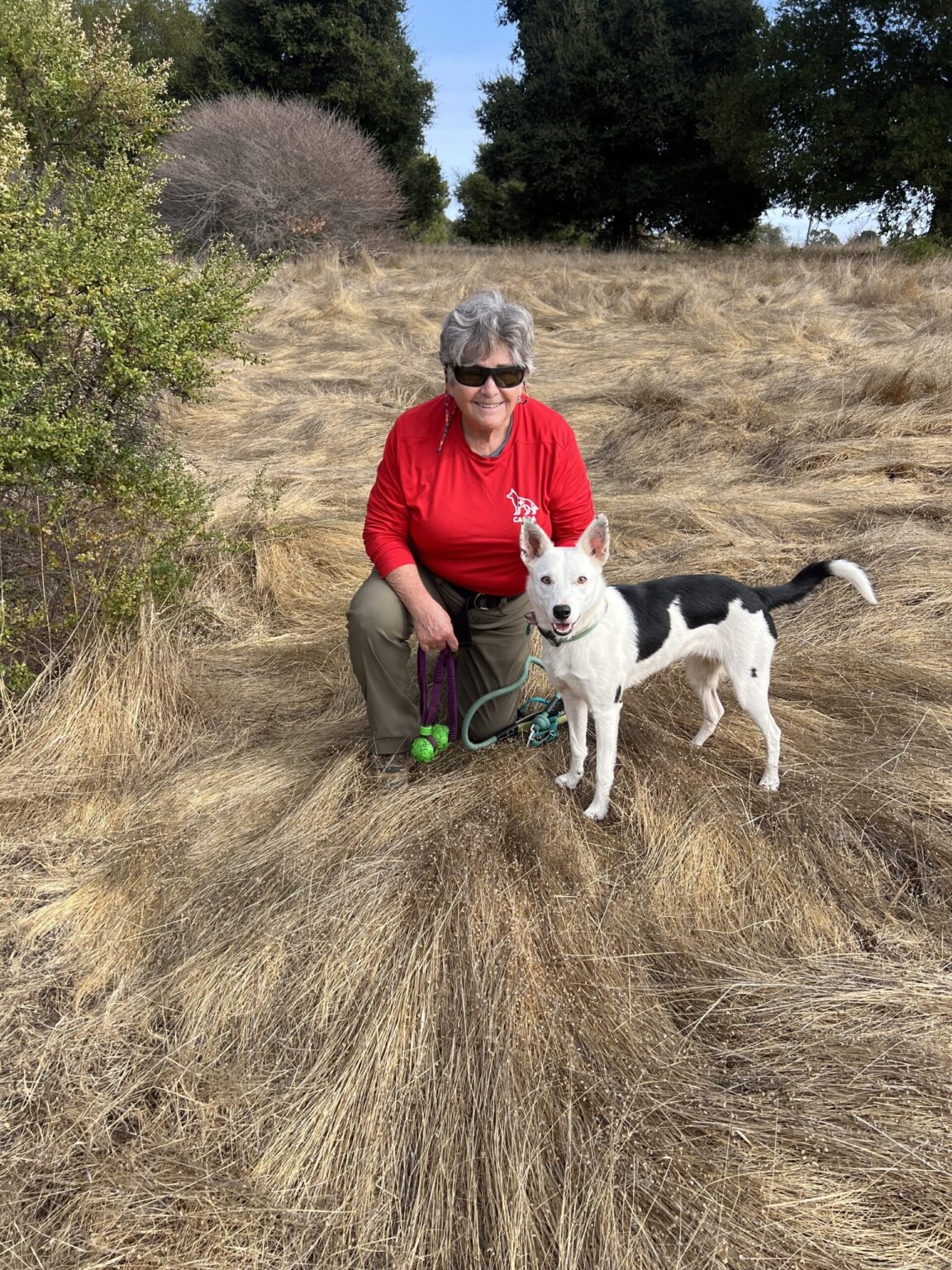 Certification News: “Saphira” and Kelley Lear – CARDA